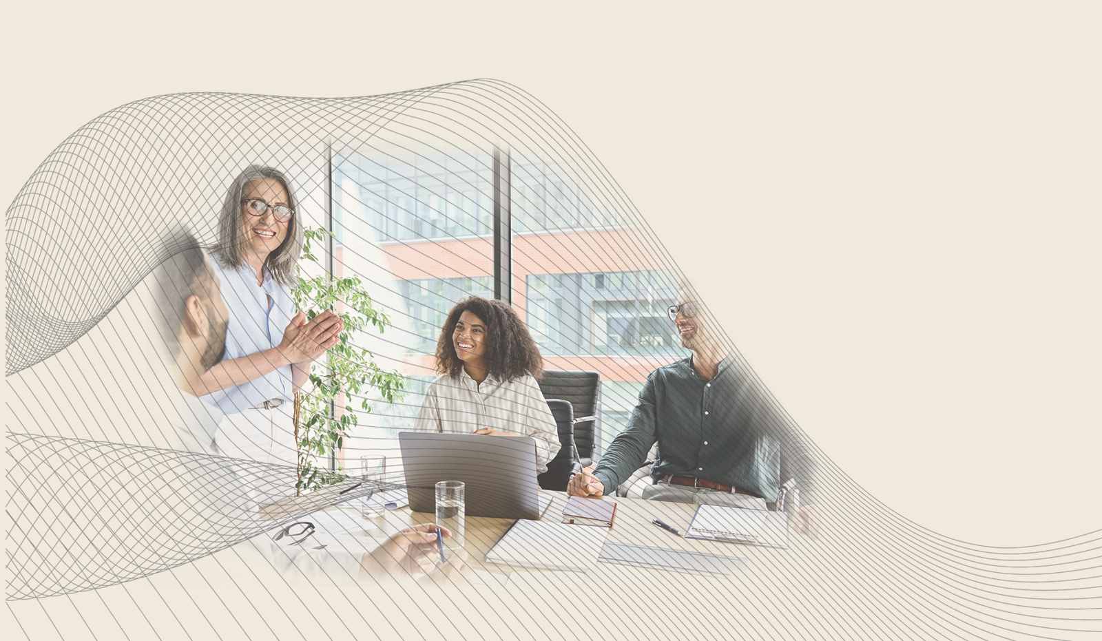 About – Coaxis Leadership